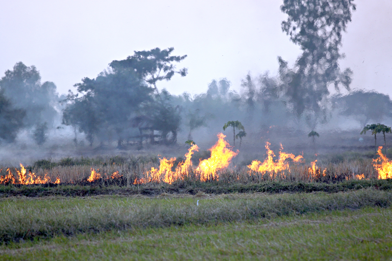 Υπουργείο Αγροτικής Ανάπτυξης: Αποζημιώσεις στους αγρότες για τις ...